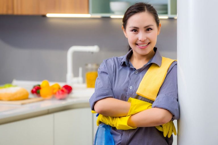 Maid In Malaysia Requirements [review requirements to hire]